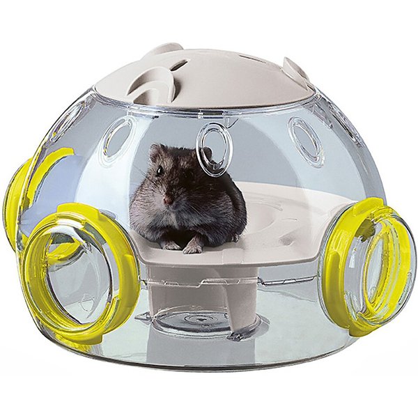 Out of Stock - KAYTEE CritterTrail Small Animal Accessory Kit, Activity ...