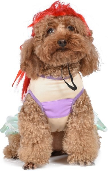 FETCH FOR PETS Disney Halloween Princess Ariel Dog Costume, Small ...