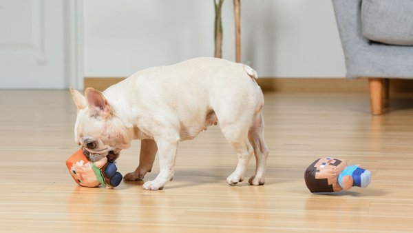 FETCH FOR PETS Minecraft Steve & Alex Figure Plush Squeaky Dog Toy ...