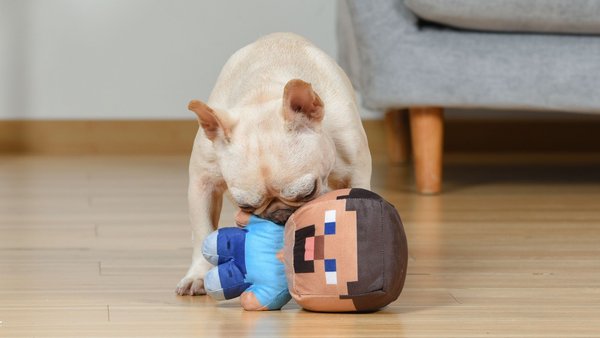 FETCH FOR PETS Minecraft Steve Figure Plush Squeaky Dog Toy, Large ...