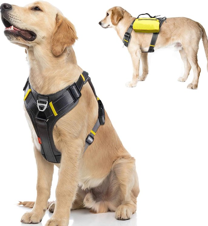 Best No Pull Dog Harnesses: Large & Small Dogs (Free Shipping) | Chewy