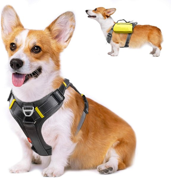 FIDA No Pull Dog Harness, Black, Medium: 21.2 to 27.6-in chest - Chewy.com