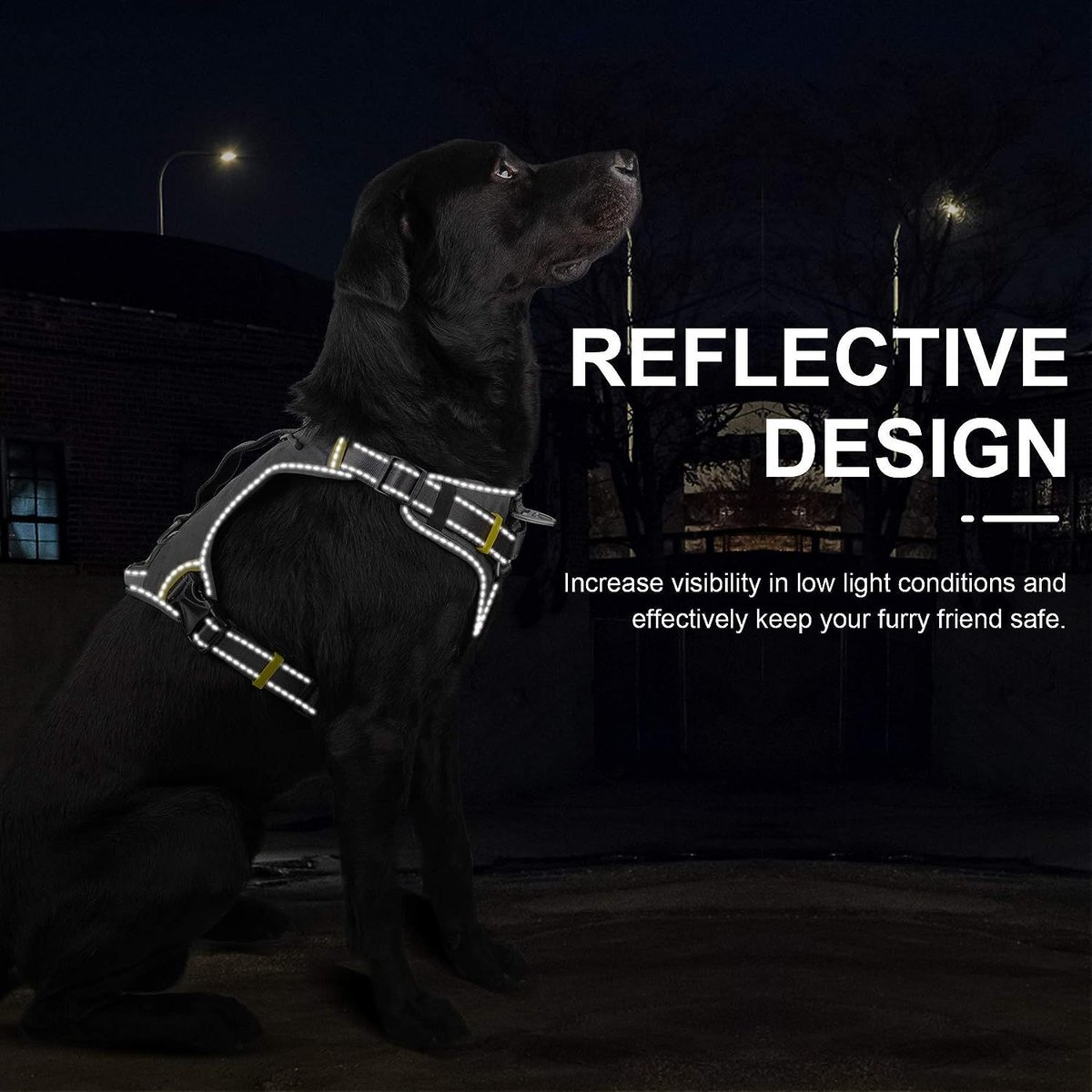 FIDA No Pull Dog Harness, Black, Medium: 21.2 to 27.6-in chest - Chewy.com