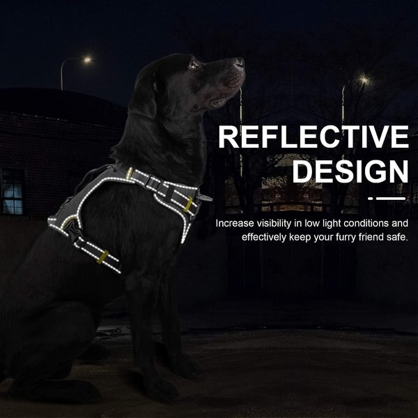 FIDA No Pull Dog Harness, Black, Small: 17.3 to 21.3-in chest - Chewy.com