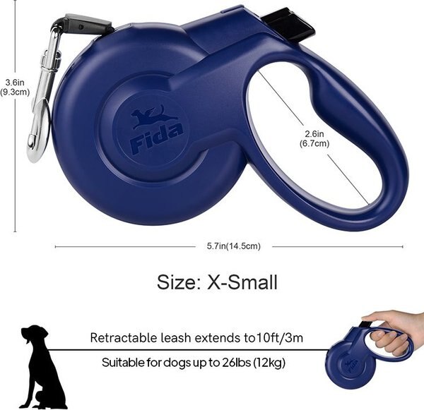 FIDA Styleash Retractable Dog Leash, 10-ft long, Blue, X-Small - Chewy.com