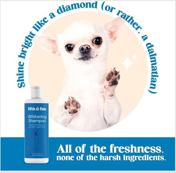 FIFTH & FIDO Blueberry Dog Shampoo, 16-fl oz bottle - Chewy.com