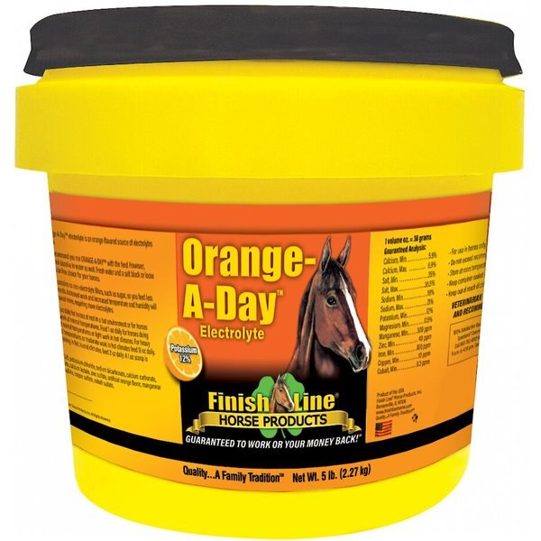 FINISH LINE Orange-A-Day Electrolyte Powder Orange Flavor Horse ...