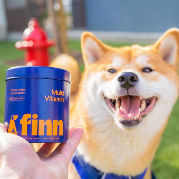 FINN Multi Vitamin Dog Supplement, 90 count - Chewy.com