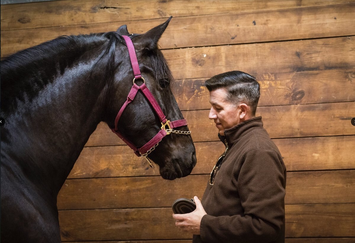 FIRST SATURDAY LIME Monthly Pet Insect Repellent, 5-lb bag - Chewy.com