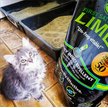 FIRST SATURDAY LIME Monthly Pet Insect Repellent, 5-lb bag - Chewy.com