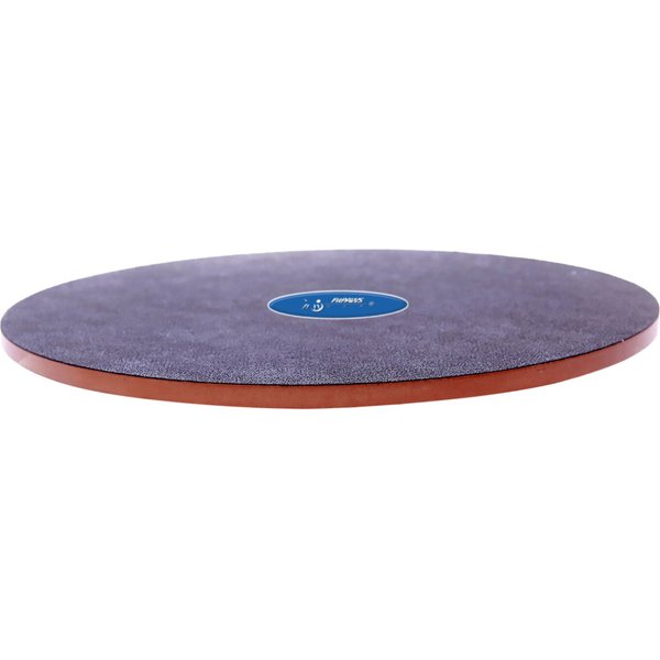 FITPAWS Dog Balancing Wobble Board, 20-in - Chewy.com