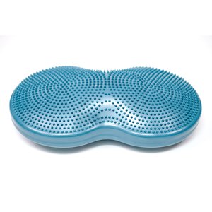 FITPAWS Duo Disc Dog Stability Training Tool, Teal - Chewy.com