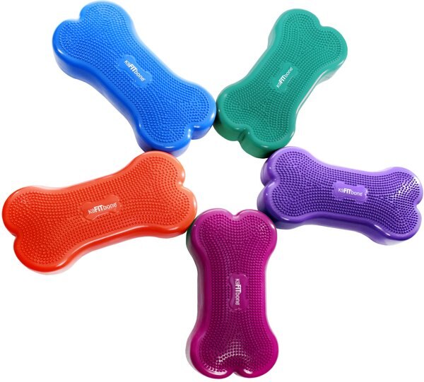 Out of Stock - FITPAWS K9FITbone Dog Training Regular Balancing Bone ...