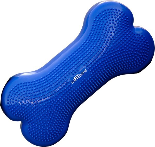 FITPAWS K9FITbone Dog Training Regular Balancing Bone, Blue - Chewy.com