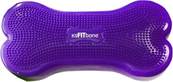 FITPAWS K9FITbone Dog Training Regular Balancing Bone, Purple - Chewy.com