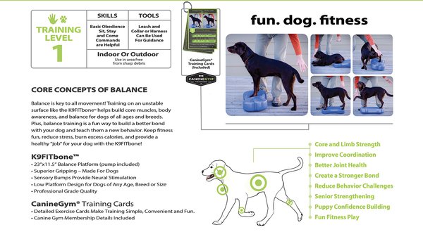 FITPAWS K9FITbone Dog Training Regular Balancing Bone, Purple - Chewy.com