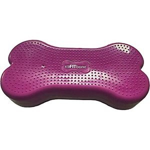 FITPAWS K9FITbone Dog Training Regular Balancing Bone, Razzleberry ...