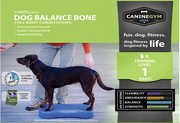 FITPAWS K9FITbone Dog Training Regular Balancing Bone, Razzleberry ...