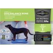 FITPAWS K9FITbone Dog Training Regular Balancing Bone, Razzleberry ...