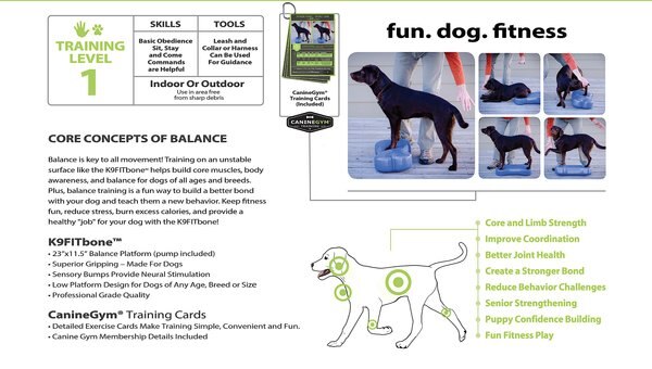 FITPAWS K9FITbone Dog Training Regular Balancing Bone, Razzleberry ...