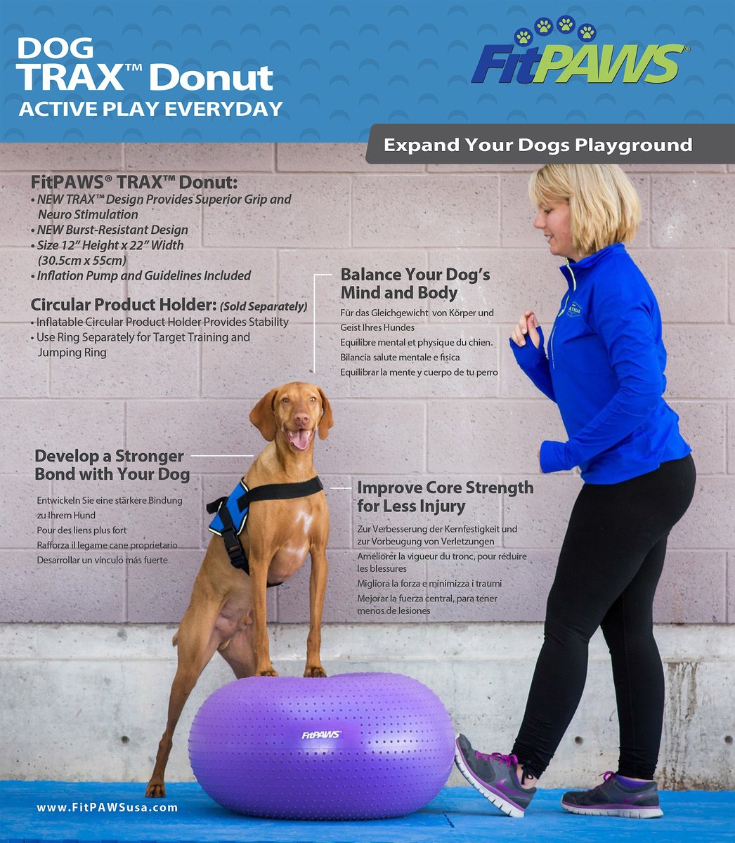 FITPAWS TRAXDonut Dog Balancing Kit, Purple - Chewy.com
