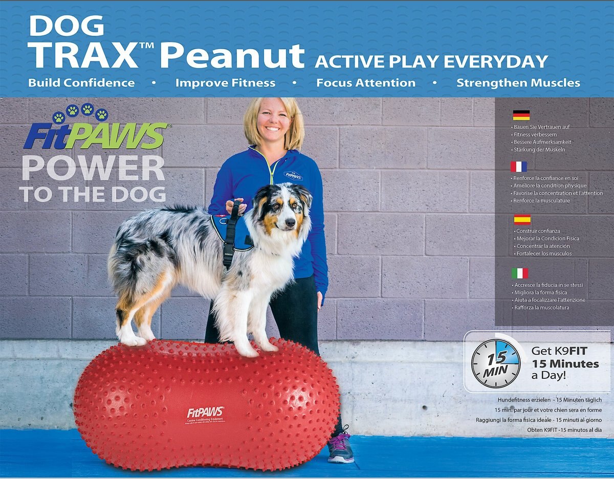 FITPAWS TRAXPeanut Dog Stability Ball, Small - Chewy.com