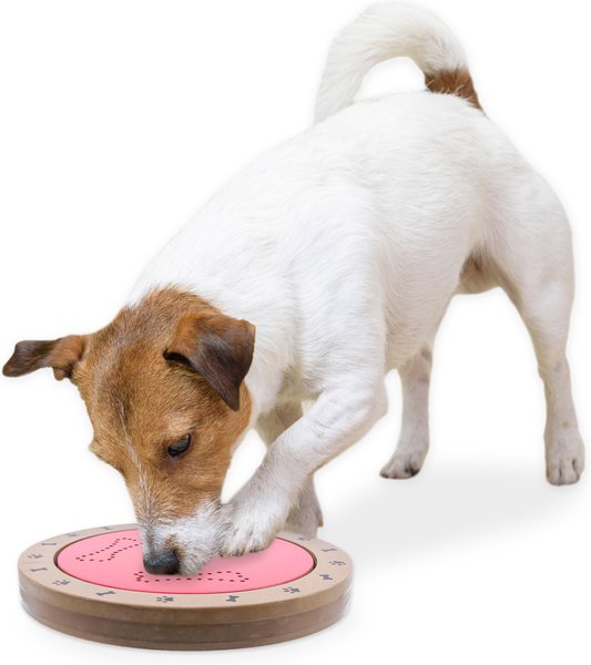 FLIPO Brainiac Spin-O-Rama Treat-Dispensing Dog Toy, Red - Chewy.com