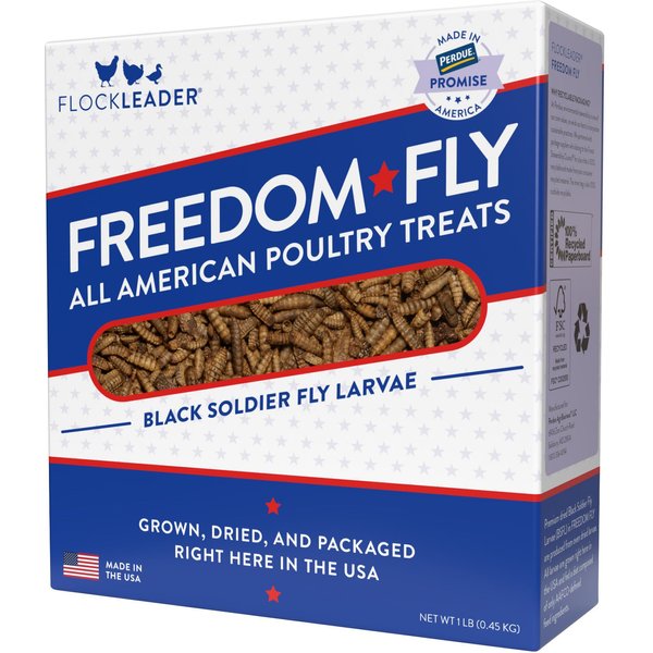 COOHGRUBS Dried Black Soldier Fly Larvae Bird Treat, 2-lb box - Chewy.com