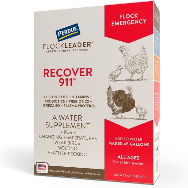 FLOCKLEADER Recover 911 Poultry Supplement, 8-oz bag - Chewy.com