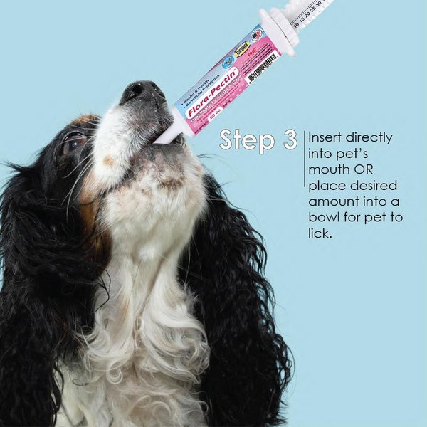 FLORA-PECTIN Chicken Flavored Oral Gel Digestive Aid for Dogs & Cats ...