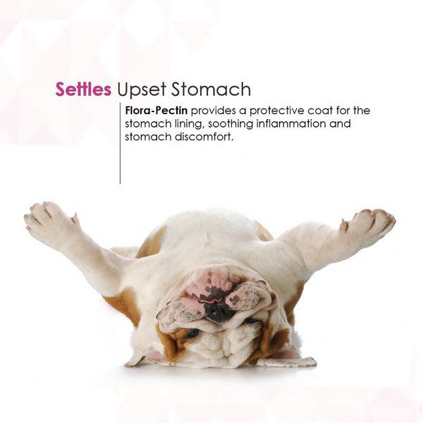 FLORA-PECTIN Chicken Flavored Oral Gel Digestive Aid for Dogs & Cats ...
