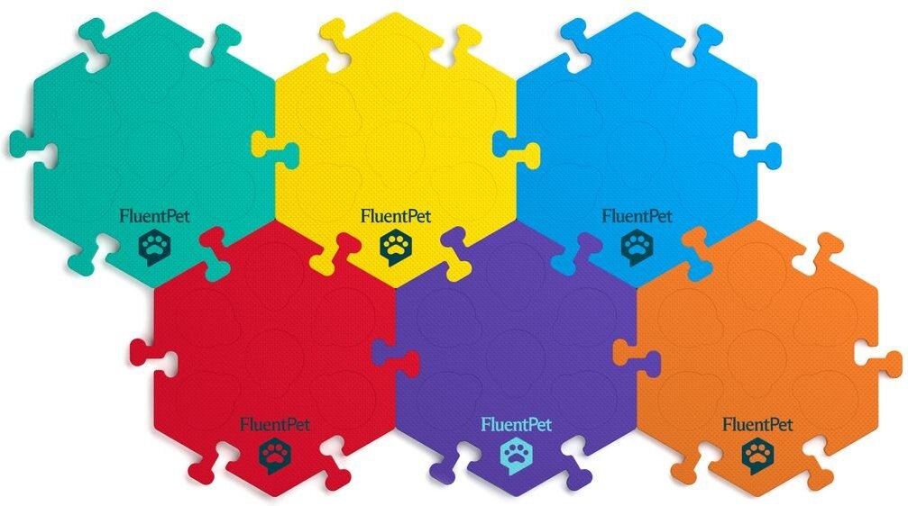 FLUENTPET HexTiles Dog & Cat Games & Puzzles Toy, Bold, 6 count - Chewy.com