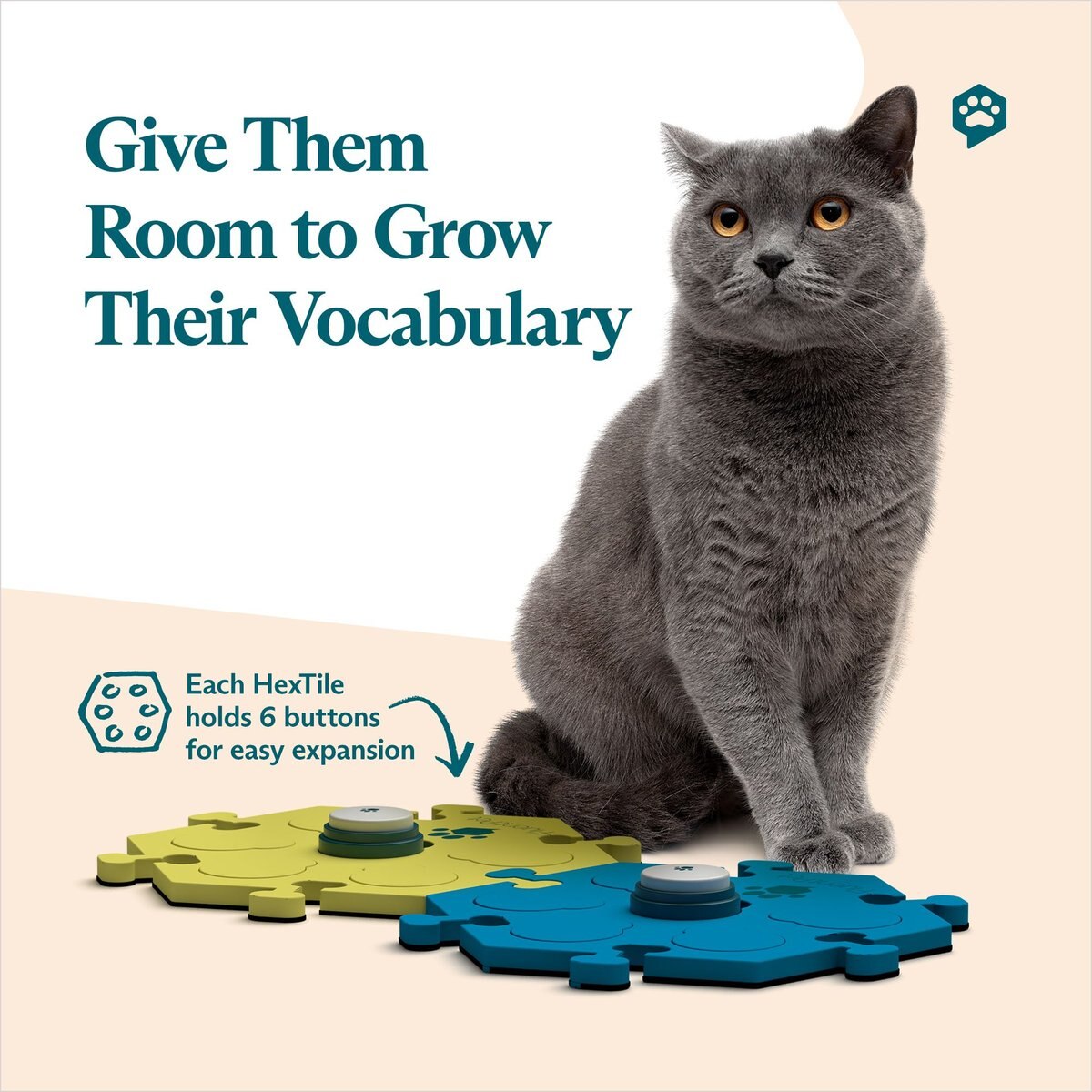 FLUENTPET Tester Kit Learning Cat & Dog Toy, Assorted - Chewy.com