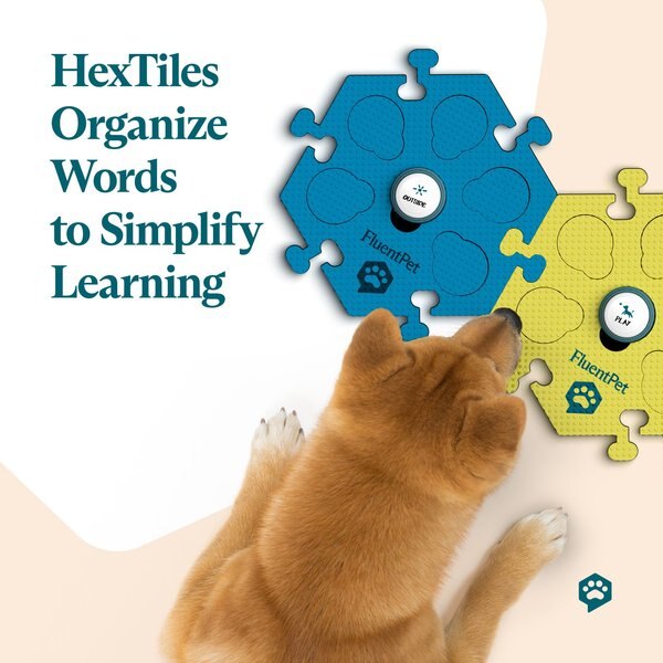 FLUENTPET Tester Kit Learning Cat & Dog Toy, Assorted - Chewy.com