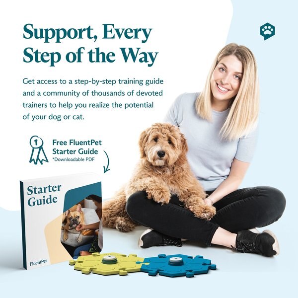 FLUENTPET Tester Kit Learning Cat & Dog Toy, Assorted - Chewy.com