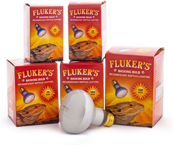 FLUKER'S Basking Spotlight Reptile Bulb, 150-watt - Chewy.com