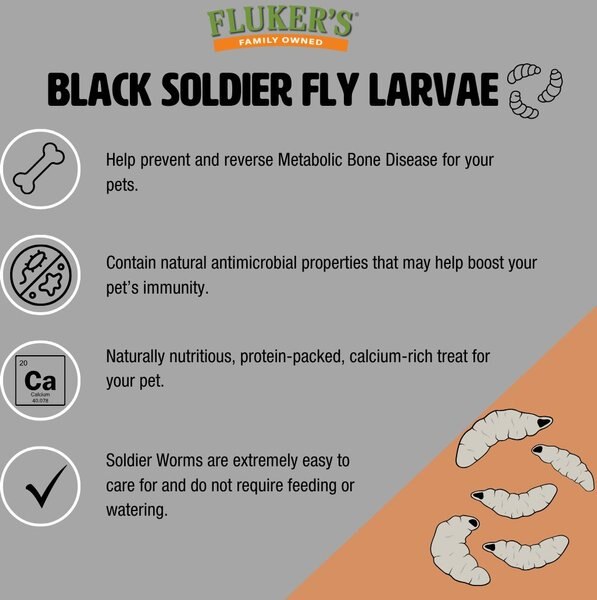 FLUKER'S Black Soldier Fly Larvae Reptile Food, Small, 500 count ...