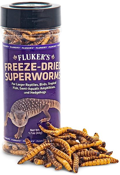 FLUKER'S Freeze-Dried Superworms Reptile Food, 1.7-oz bag - Chewy.com