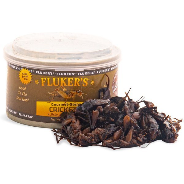 FLUKER'S Gourmet-Style Crickets Reptile Food, 1.2-oz can - Chewy.com