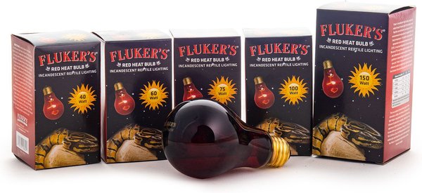 FLUKER'S Nighttime Red Heat Reptile Bulb, 150-watt - Chewy.com