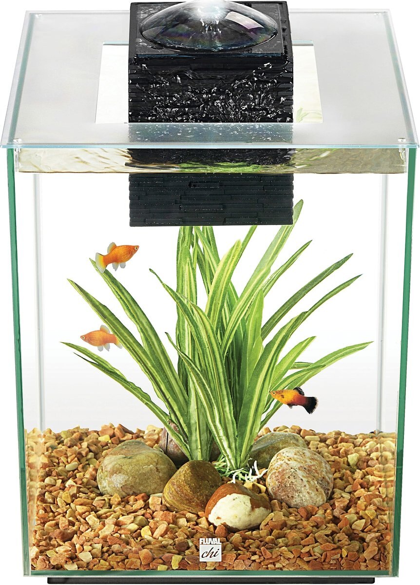 FLUVAL Chi Aquarium Kit, 5-gal - Chewy.com