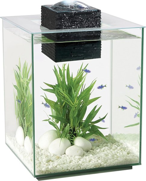 Discontinued - FLUVAL Chi Aquarium Kit, 5-gal - Chewy.com