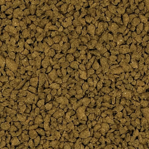 FLUVAL Fl Bug Bites Color Enhancer Fish Food, 1.6-oz - Chewy.com