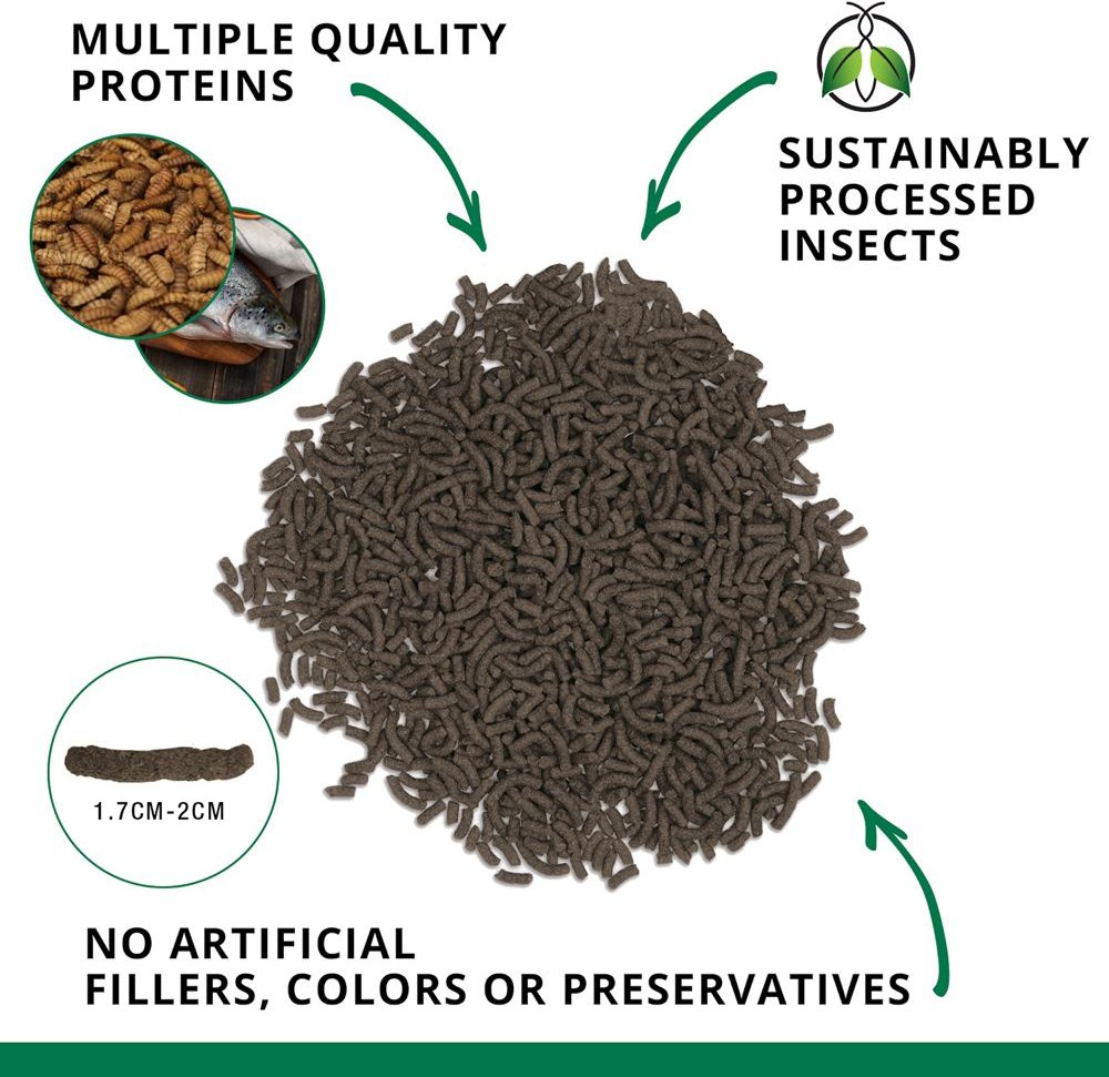 FLUVAL Fl Bug Bites Turtle Formula Reptile Food, 3.7-lb - Chewy.com