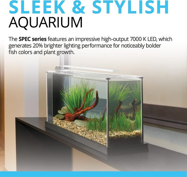 FLUVAL Spec Aquarium Kit, 5-gal - Chewy.com