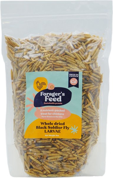 FORAGER'S FEED Whole Dried Black Soldier Fly Larvae Bag Poultry Treats ...