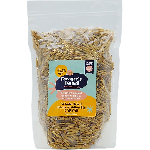 FORAGER'S FEED BSFL Dried Crumbles Bird Treats, 6-oz bag - Chewy.com