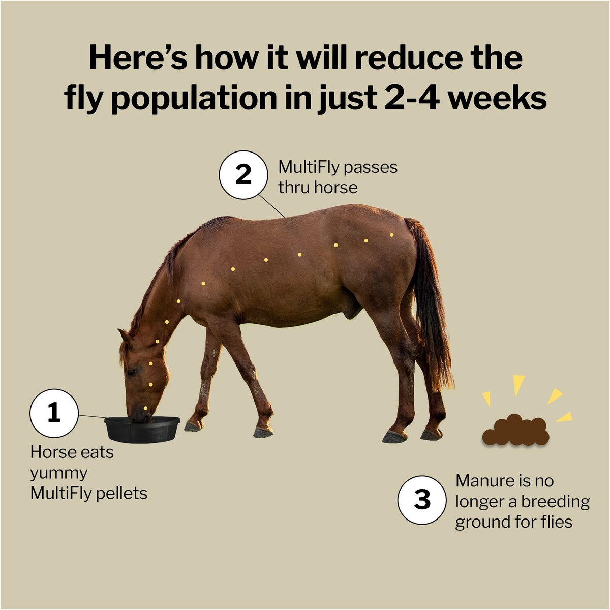 FORMULA 707 MultiFly Feed-Thru Horse Fly Control, 5-lb bag - Chewy.com