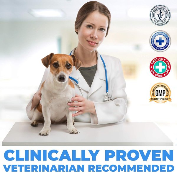 FORTICEPT Anti-Itch Ear Infection Treatment Drops for Dogs & Cats, 2-fl ...