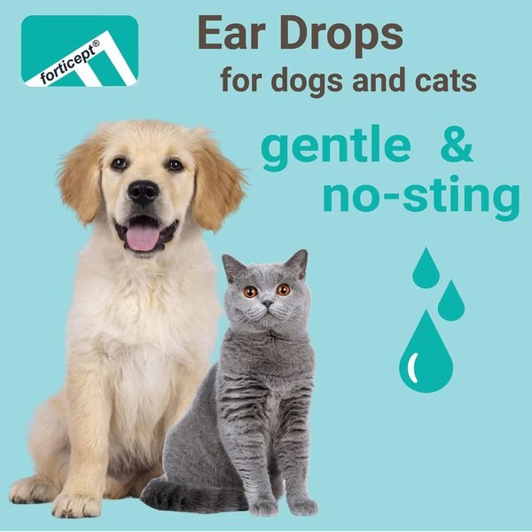 FORTICEPT Anti-Itch Ear Infection Treatment Drops for Dogs & Cats, 2-fl ...